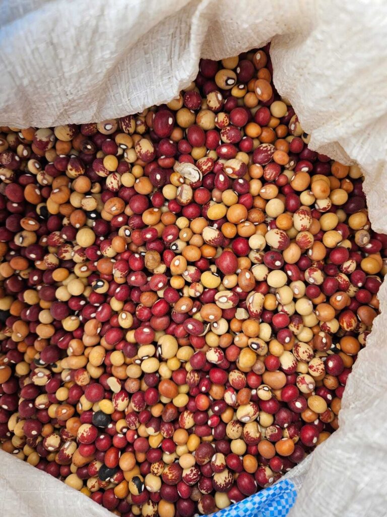 Round Nuts – Essential