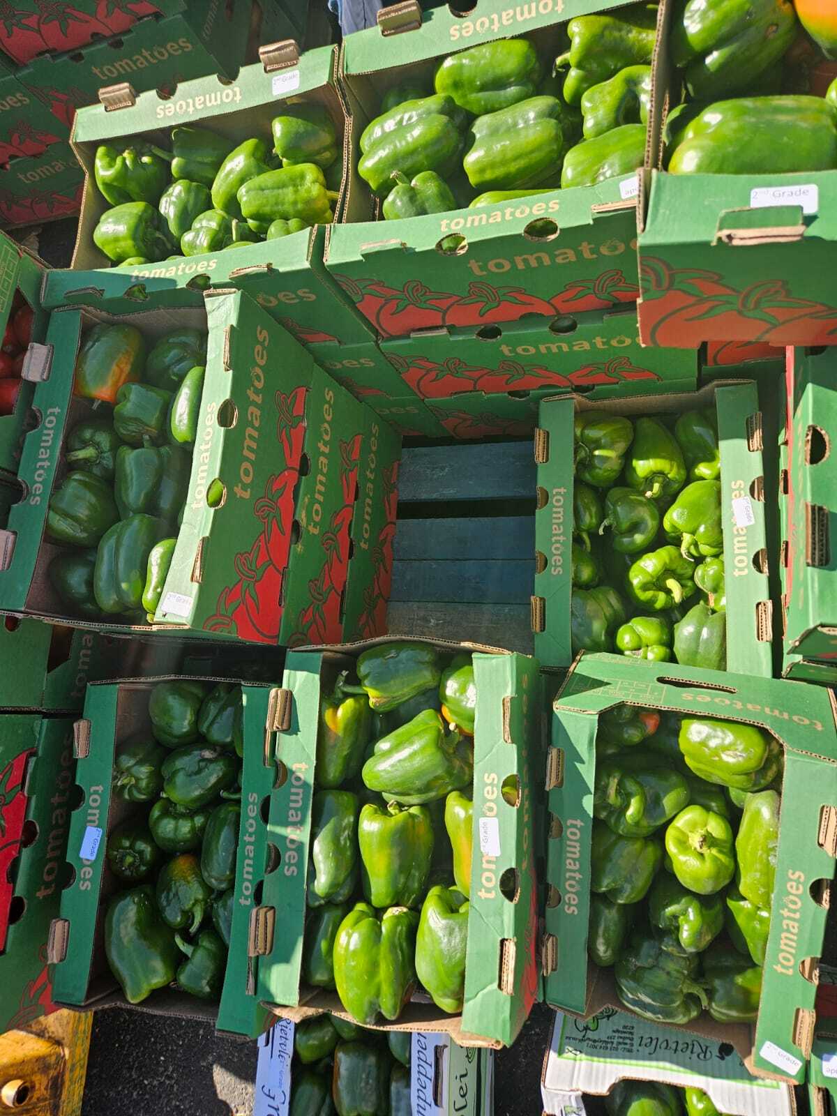 Green Pepper – Essential